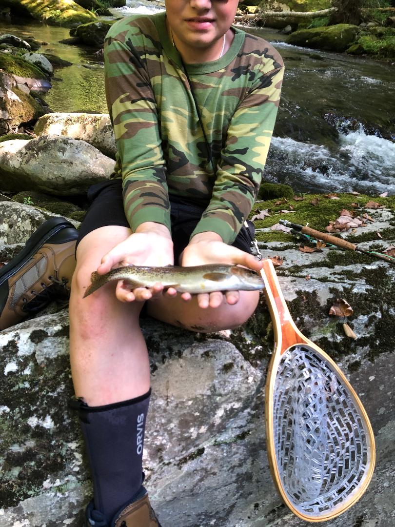 Great Smoky Mountains Fly Fishing Report: July 05, 2025 - Fly Fishing ...